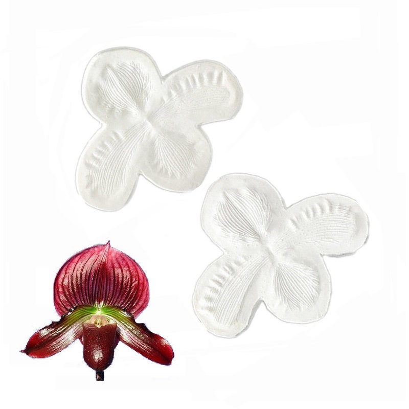 Orchid Cutters and Veiners - Etsy