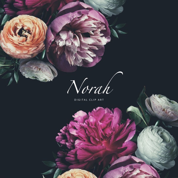 Norah Clipart - Etsy