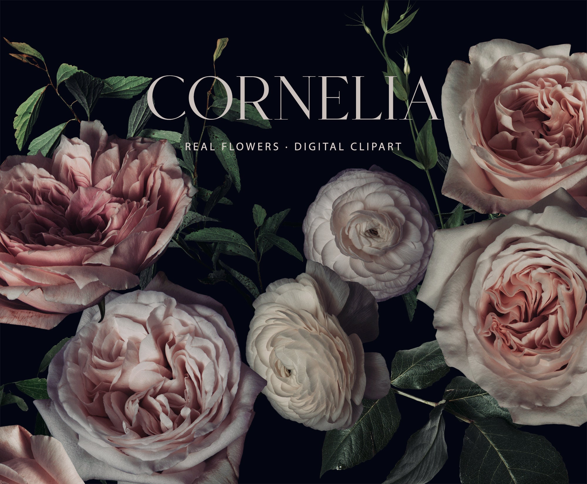 Cornelia Dark Floral Clipart Floral Digital Clipart - Etsy