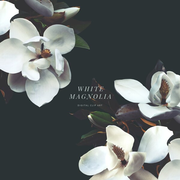 Magnolia Printable Stationery - Etsy