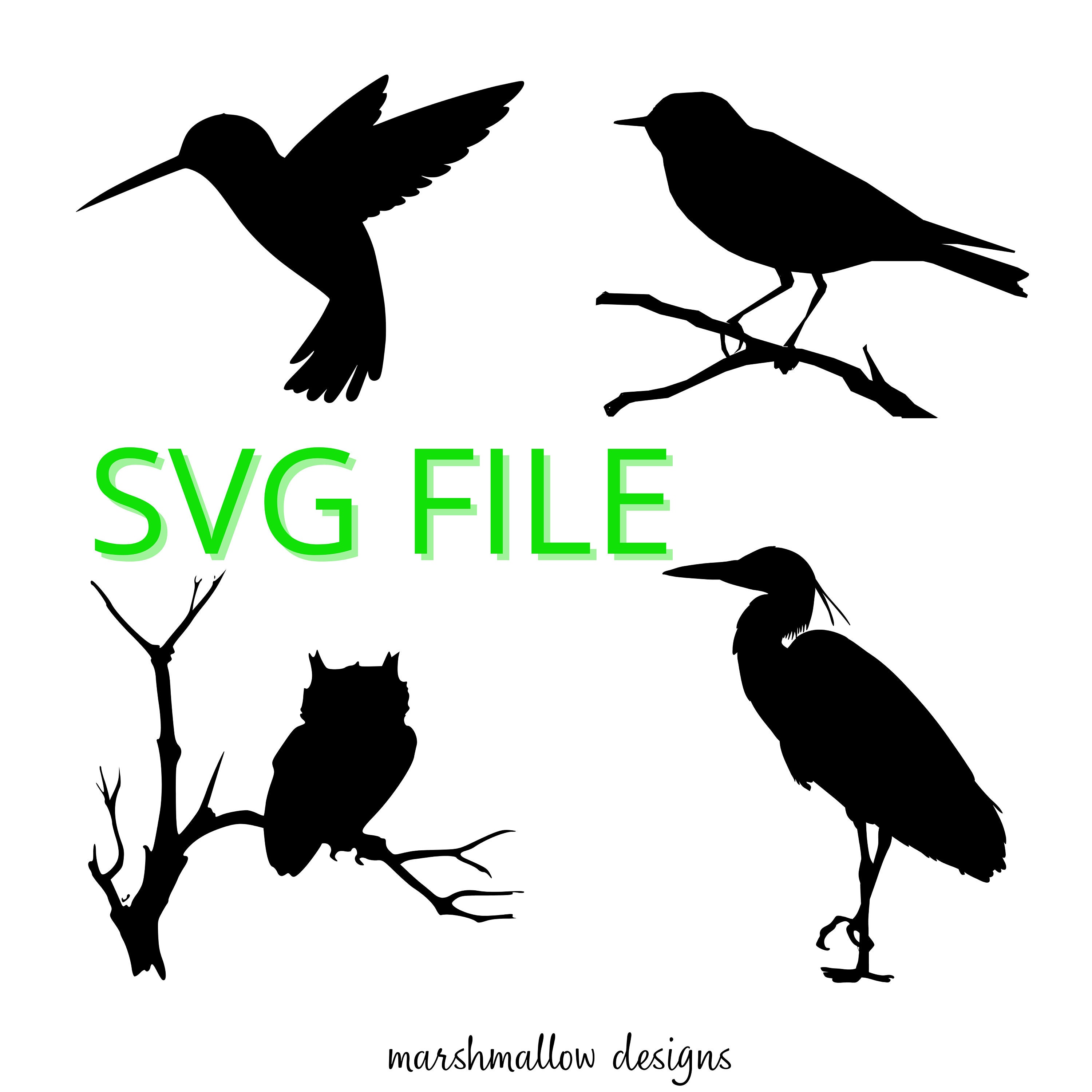 Realistic Birds SVG Digital Download, Owl, Heron, Sparrow, Hummingbird ...