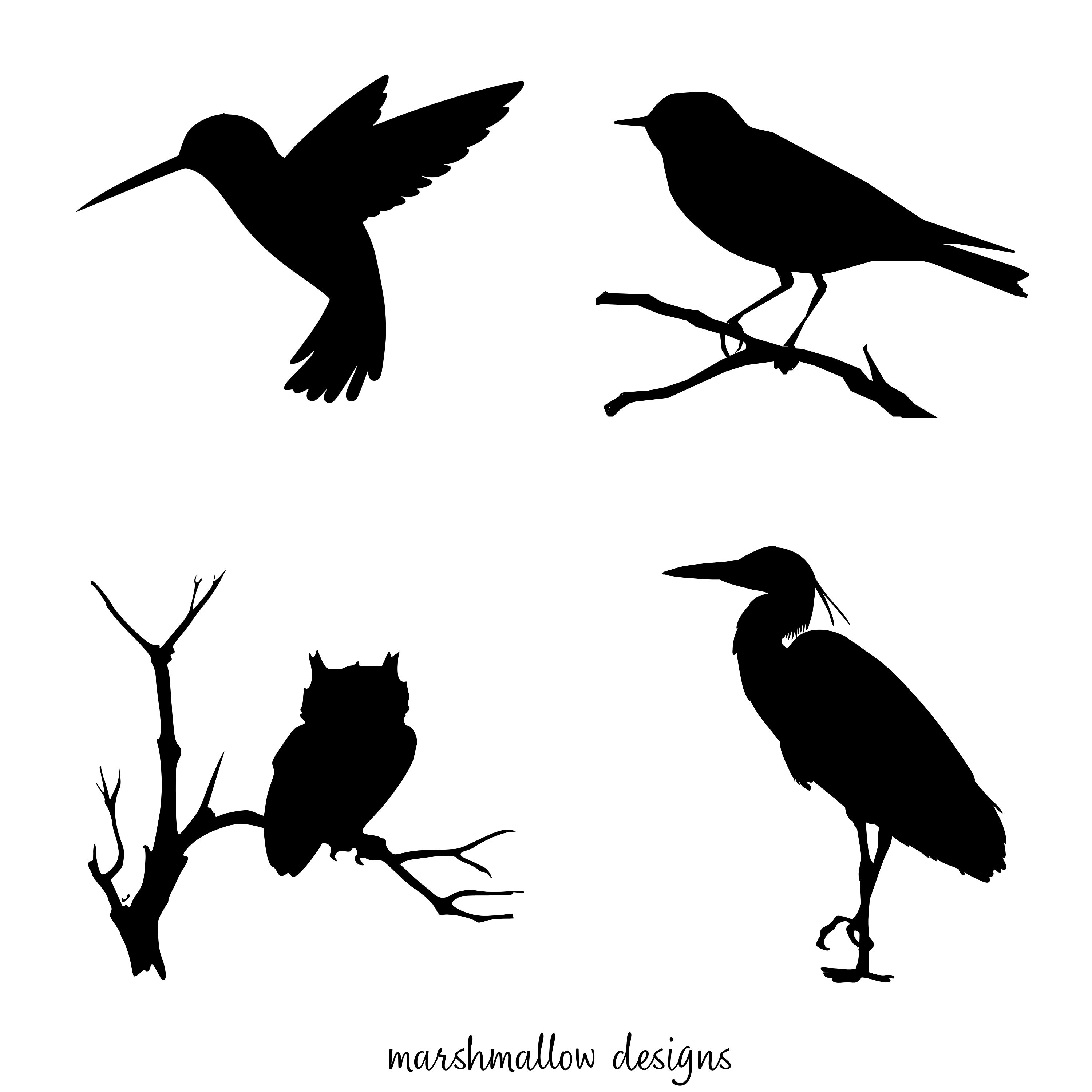 Realistic Birds SVG Digital Download, Owl, Heron, Sparrow, Hummingbird ...