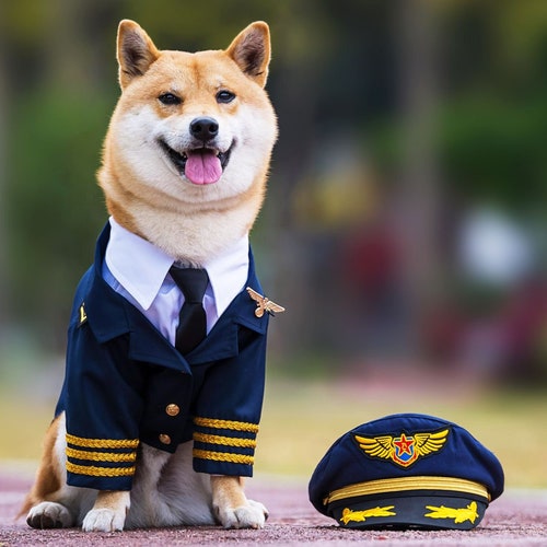 Custom Made Dog Cat Pet Pilot Captain Aviator Uniform Blazer - Etsy