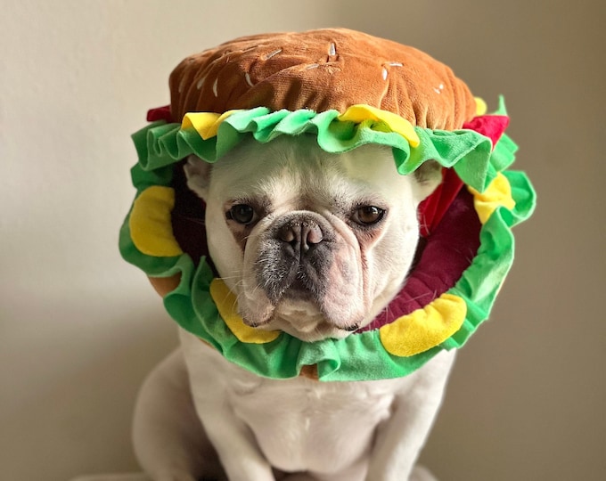 Cheeseburger Pet Hat Costume for Cats Small Dogs in Soft Vibrant Felt ...