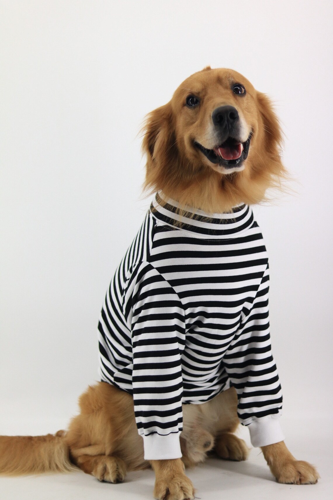 Big Dog Apparel Simple Basic Hipster White Black Stripes - Etsy