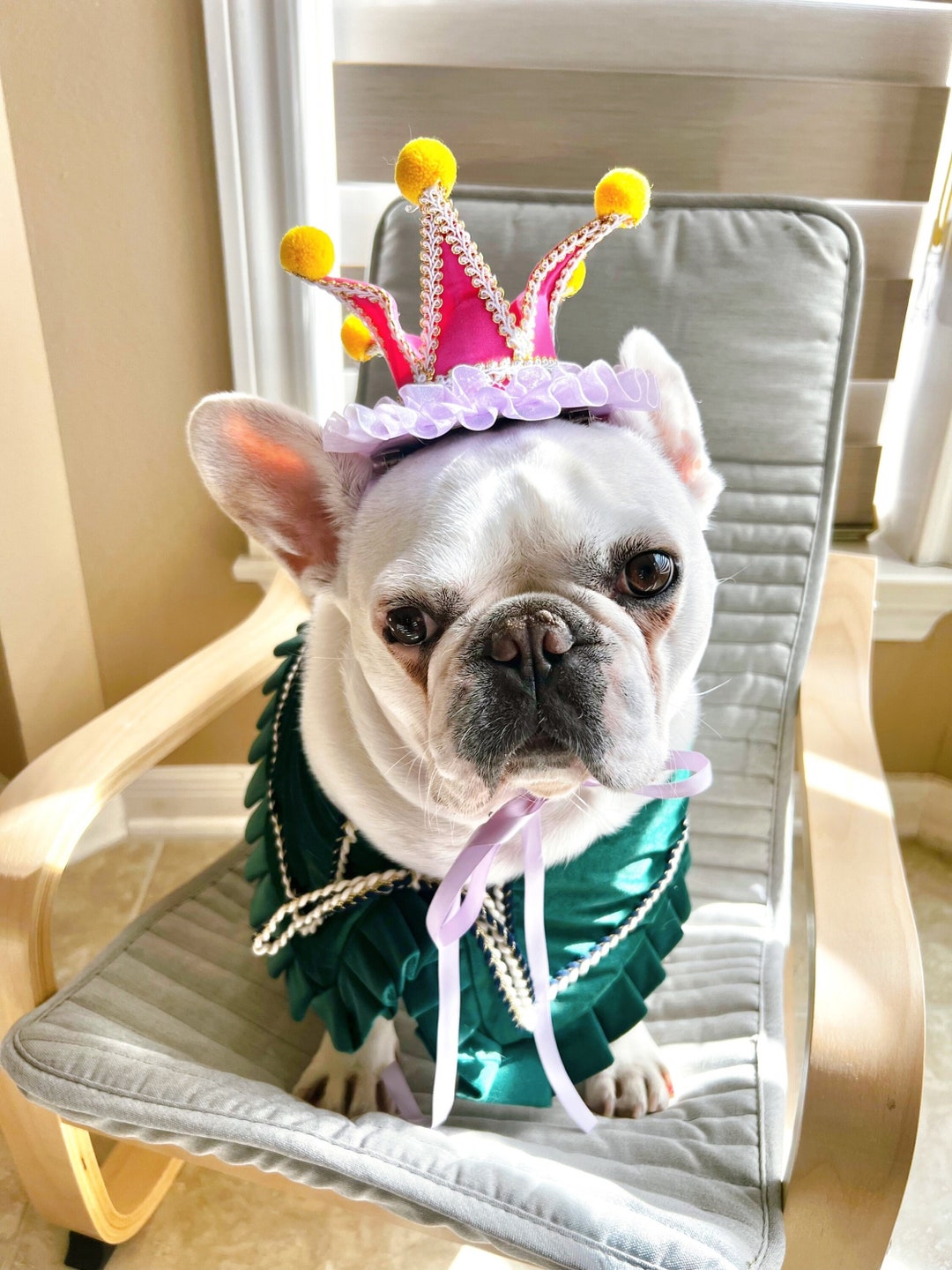 Pet Dog Cat Kid Matching Circus Lolita Crown Hat, Birthday Celebration ...