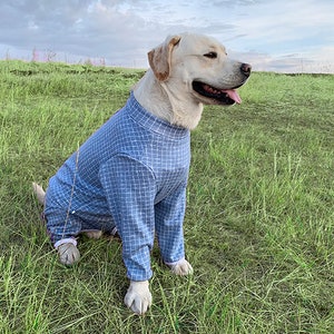 Big Dog Recovery Long Sleeve Pajamas Full Body Cover Suit Abdominal ...