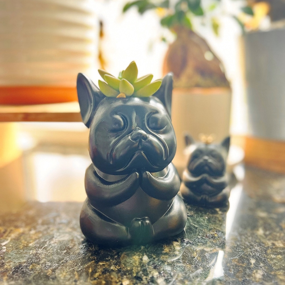 French Bulldog Vase Plant Flower Succulent Pot, Frenchie Boston Terrier ...