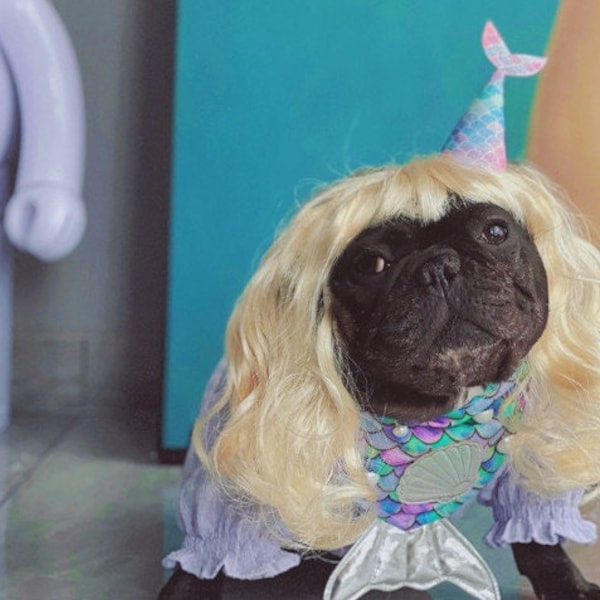 Mermaid Costume Dog - Etsy