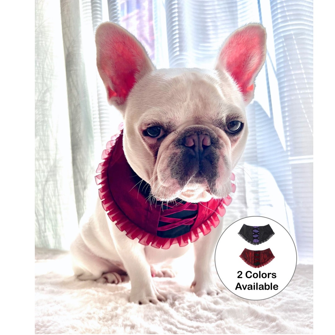 Medieval Renaissance Cosplay Costume Pet Dog Cat Bandana Bib, Gothic ...