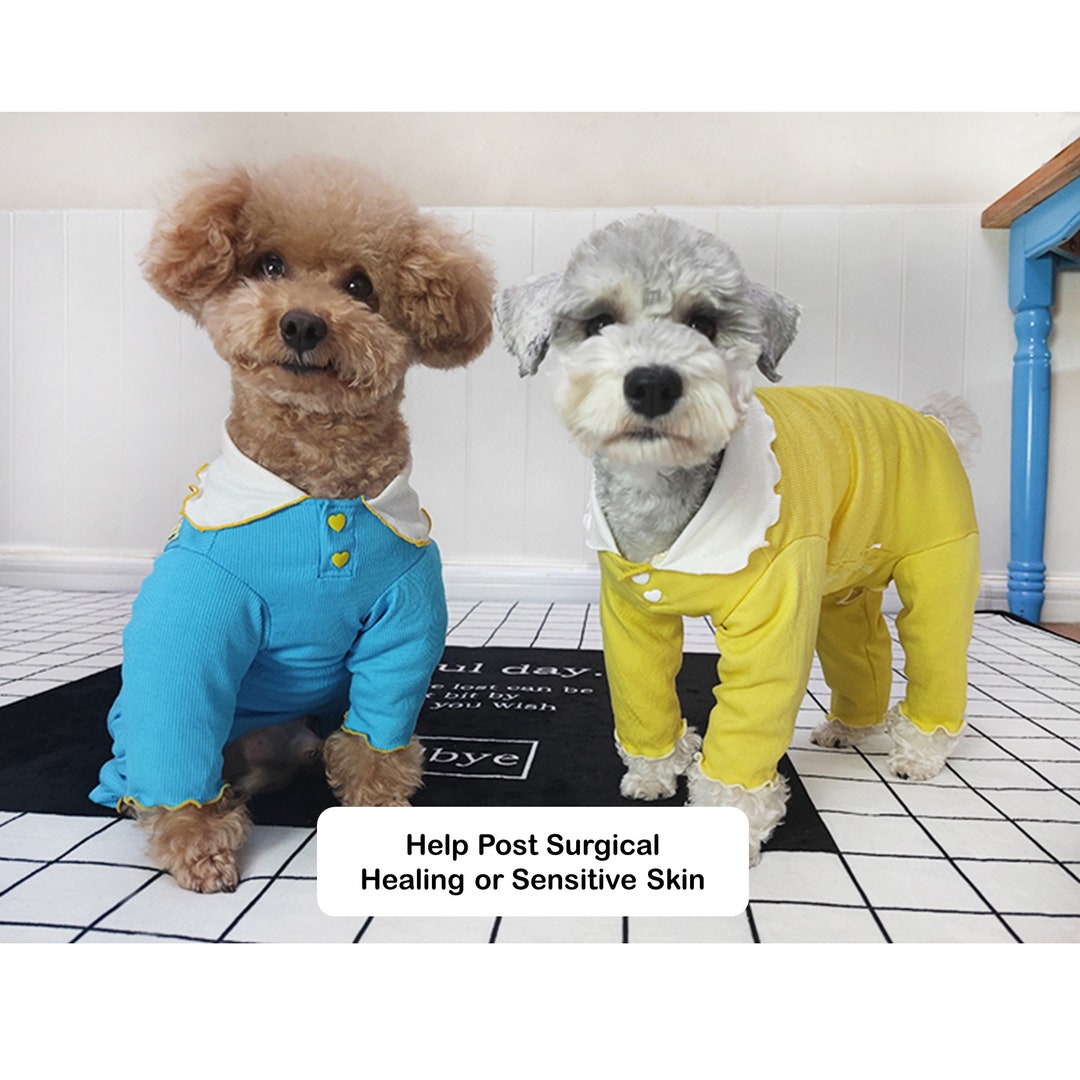 Post-surgical Spayed Neutered Dog and Cat With Sensitive Skin, Summer 4 ...