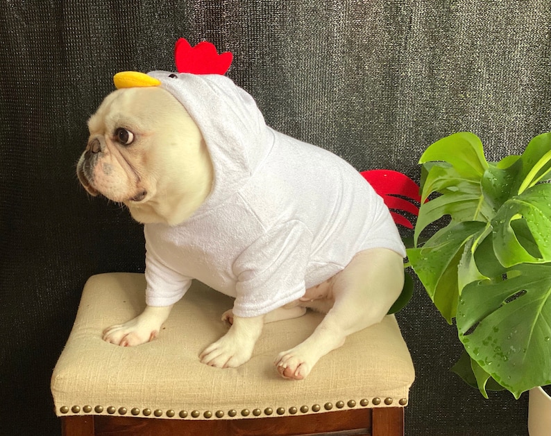 Dog Cat Pet Puppy Rooster Chicken Hen 3D Tail and Comb Hooded - Etsy