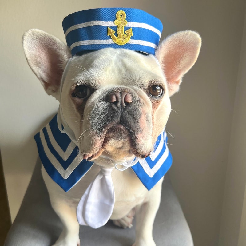 Dogpool Costume for Dog - Etsy