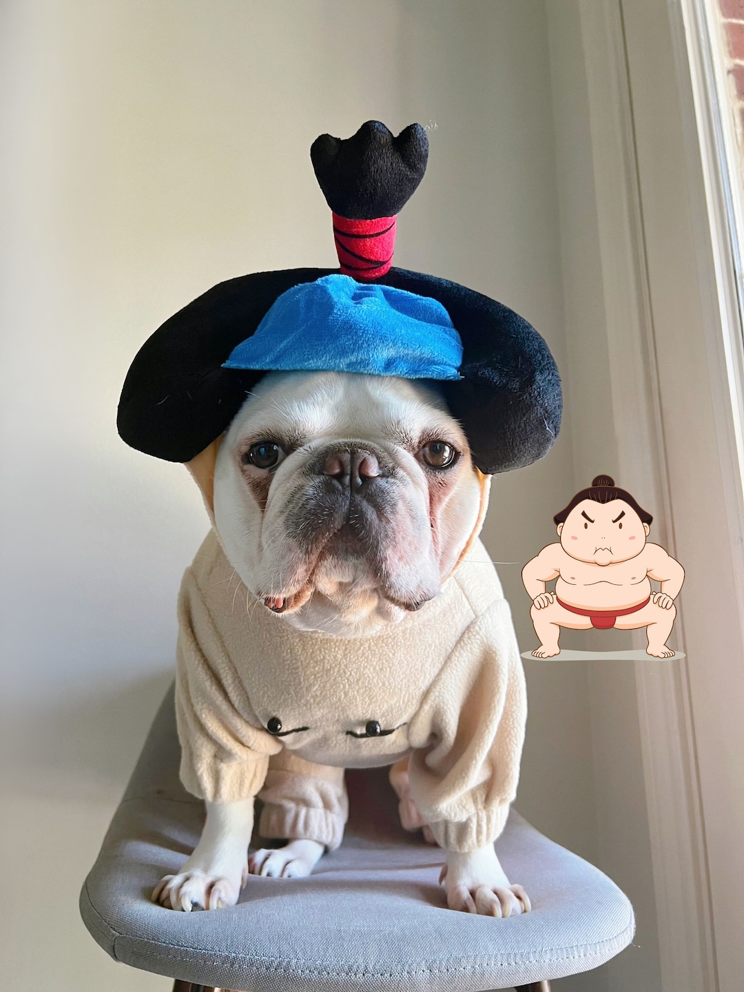 Sumo Pup Showdown Dog Cat Pet Halloween Costume, Japanese Wrestling ...