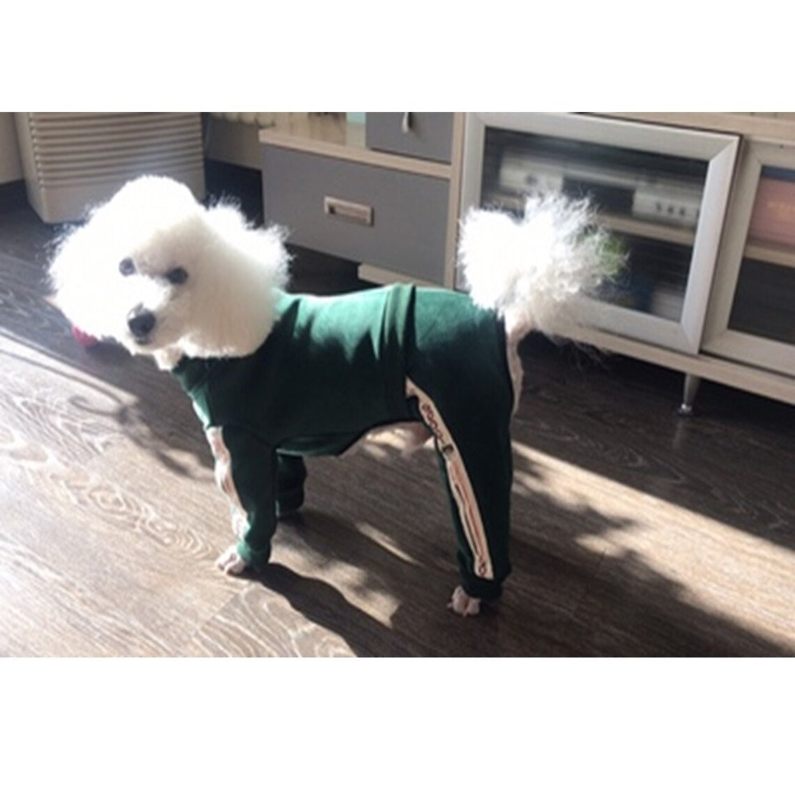 Dog Apparel Velvet Sport Jumpsuit Overall Shirt Clothes Outfit - Etsy