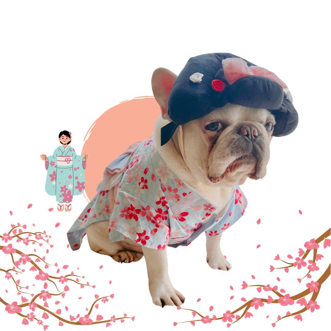Japanese Kimono Dog Cat Pet Halloween Costume, Traditional Japanese ...