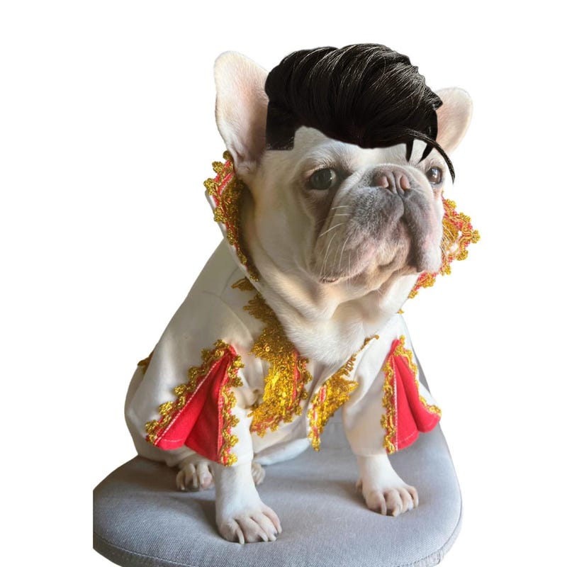 Elvis presley maschera - Etsy Italia