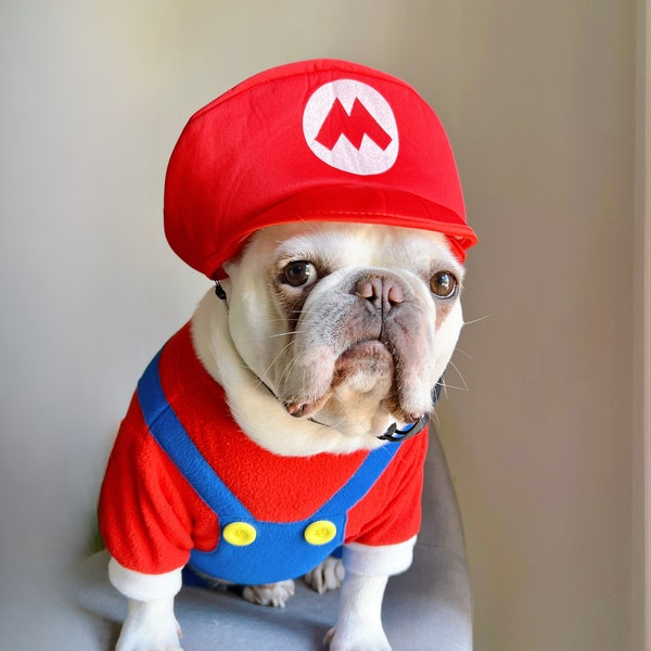 Pitbull Costume - Etsy