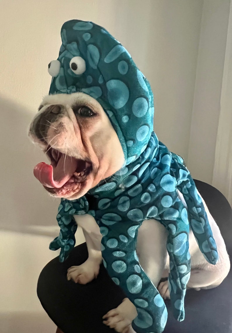 Pet Dog Cat Octopus Funny Costume Mascot, Halloween Costume, Cosplay ...