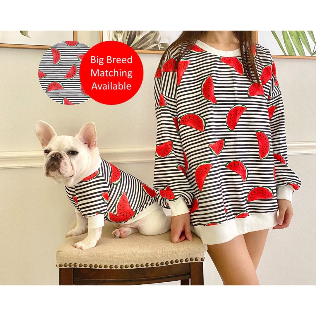 Watermelon Sugar High Matching Pet Owner Set for Cat Small Big Dog ...