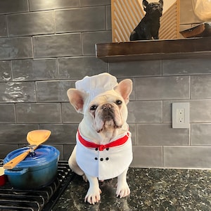 Halloween Chef Dog Cat Pet Costume, Kitchen Helper Assistant Costume ...