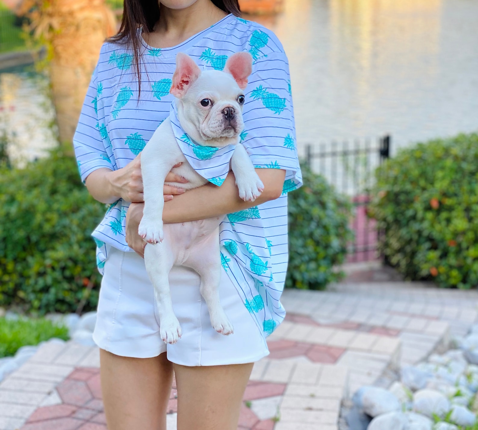 Matching Pet Owner Set Dog Cat Pina Pineapple Print Summer - Etsy