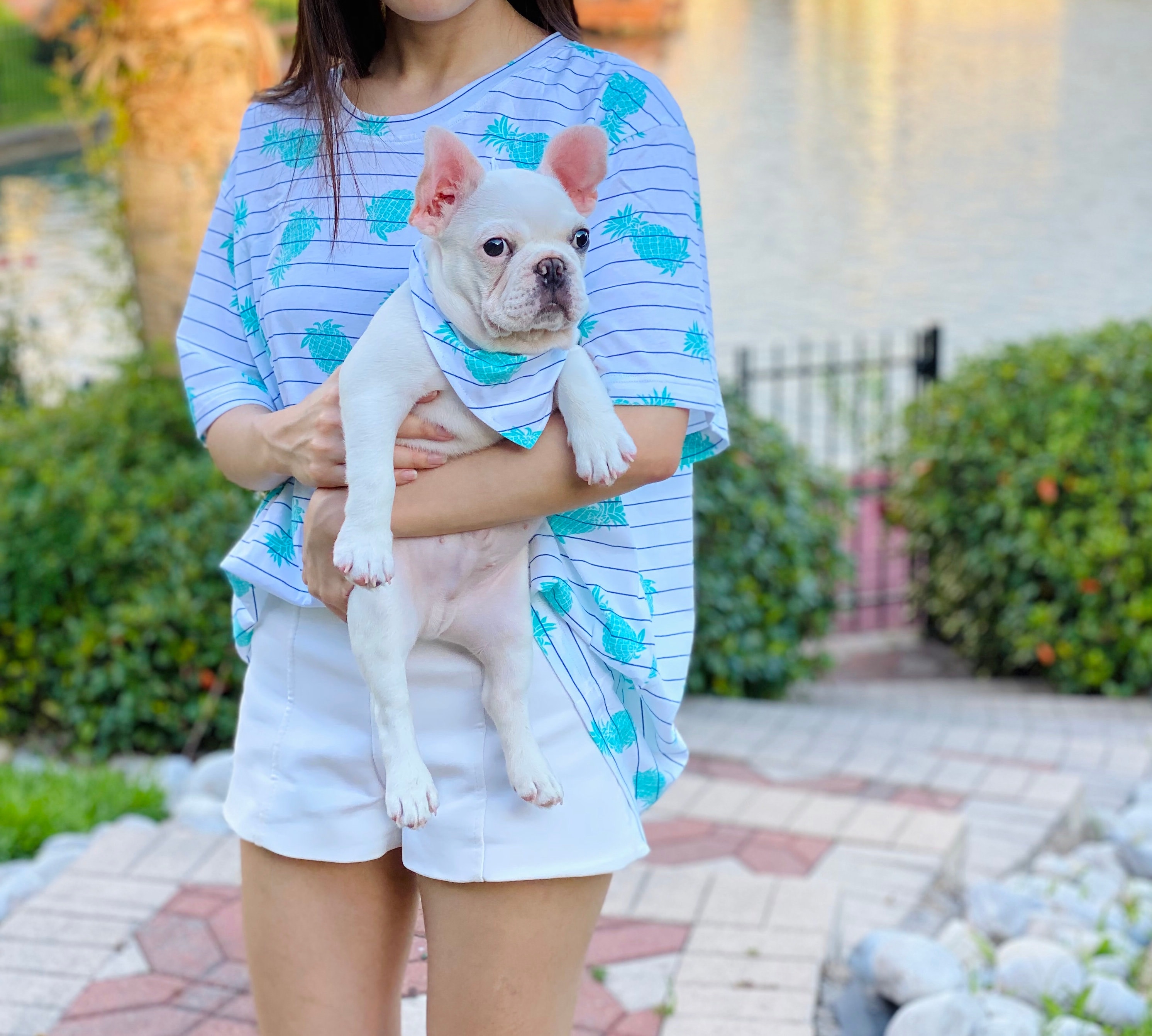 Matching Pet Owner Set Dog Cat Pina Pineapple Print Summer - Etsy