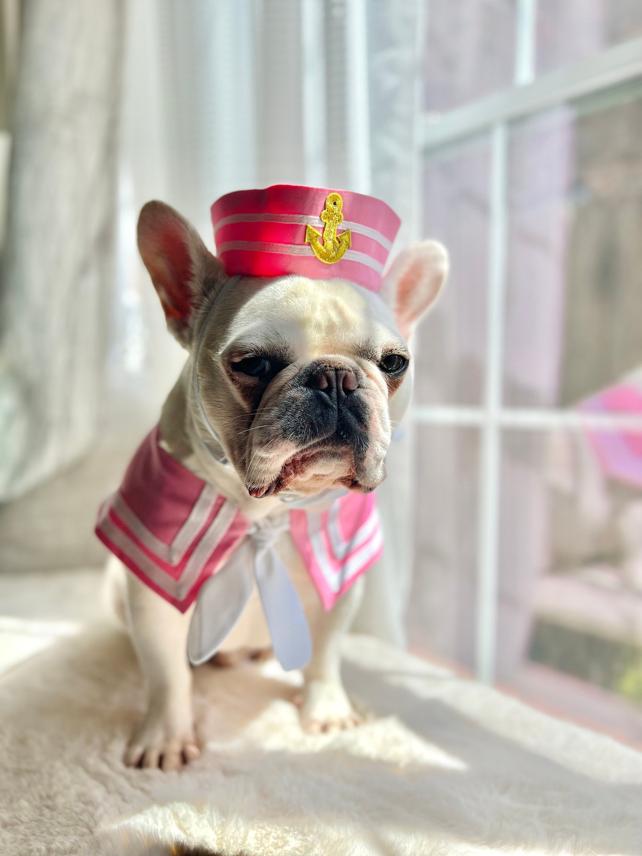 Halloween Dog Cat Pet Costume, Deckhand Pink Sailor Bandana and Hat ...