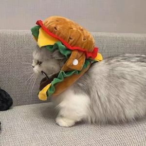 Pet Halloween Photo Costume, Dog Cat Burger Mascot Hat, Party American ...
