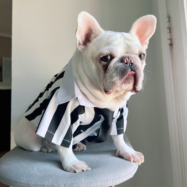 Sandworm Costume Dog - Etsy