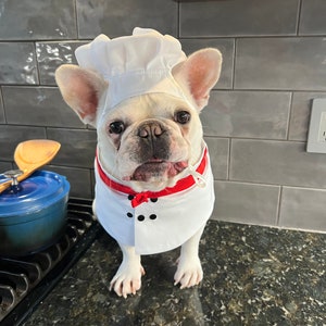 Halloween Chef Dog Cat Pet Costume, Kitchen Helper Assistant Costume ...