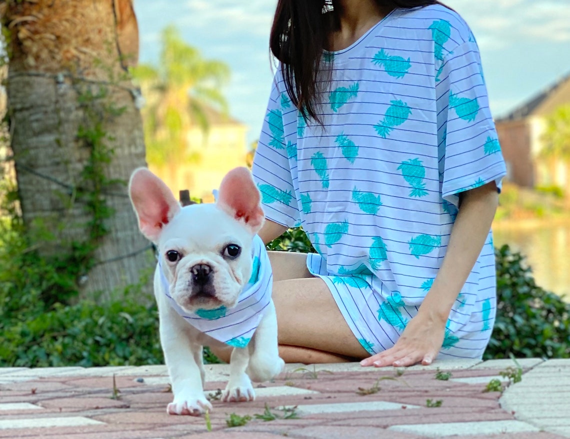 Matching Pet Owner Set Dog Cat Pina Pineapple Print Summer - Etsy