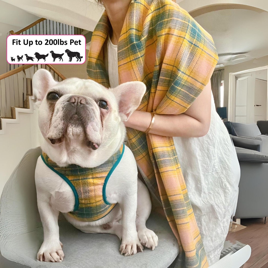 Pet and Owner Matching Shawl Scarf and Hardness, Dog Cat Matching ...