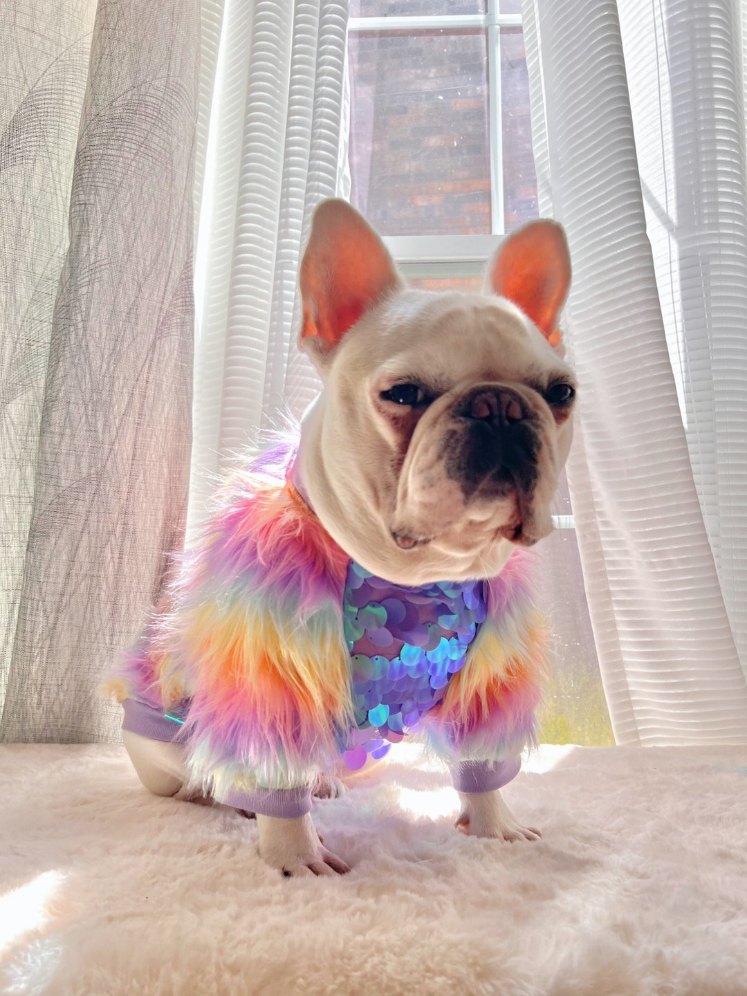 Faux Fur Glamour Sequin Pet Cat Dog Sweater Top, Unicorn Swiftie Gatsby ...