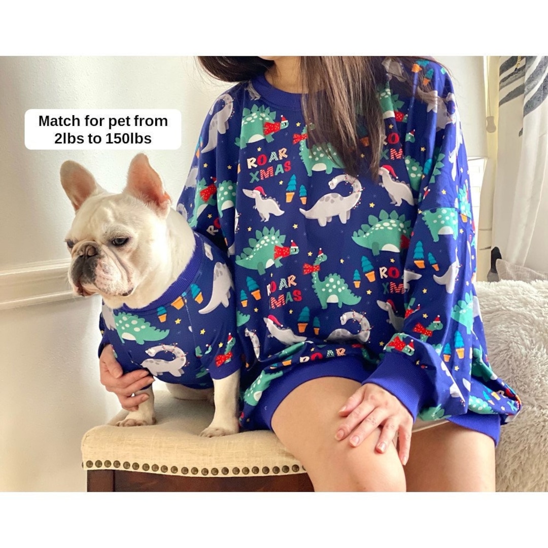 Pet and Owner Family Christmas Matching Sweater, Roar Christmas ...