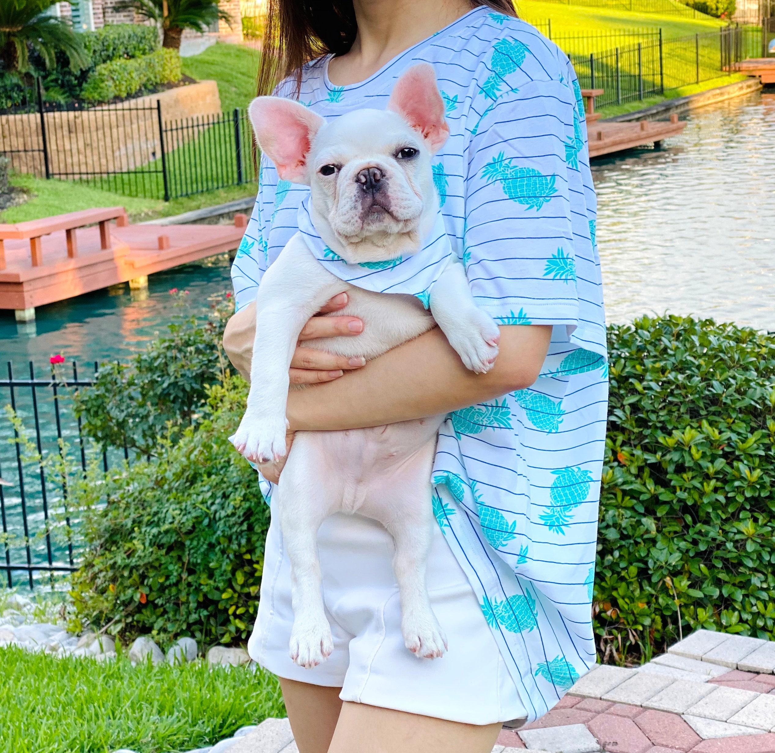 Matching Pet Owner Set Dog Cat Pina Pineapple Print Summer - Etsy