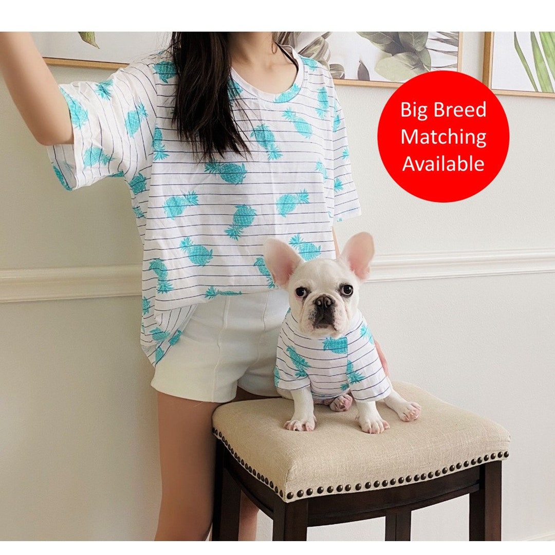 Matching Pet Owner Set Dog Cat Pina Pineapple Print Summer Viber Spring ...