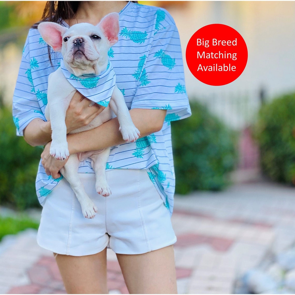 Matching Pet Owner Set Dog Cat Pina Pineapple Print Summer - Etsy