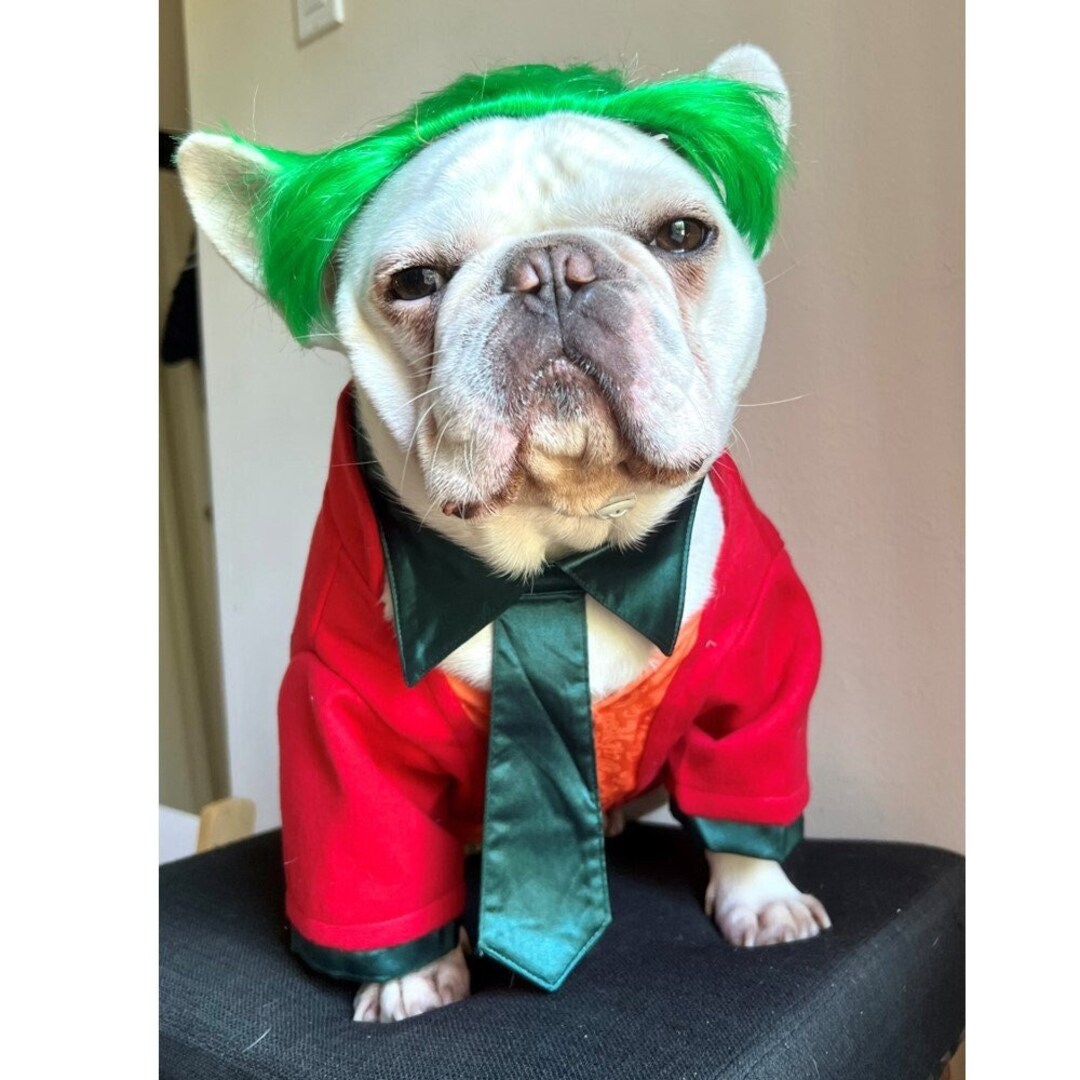 Joker Costume, Red Green Funky Color Block Blazer Coat Vest, Dog Cat ...