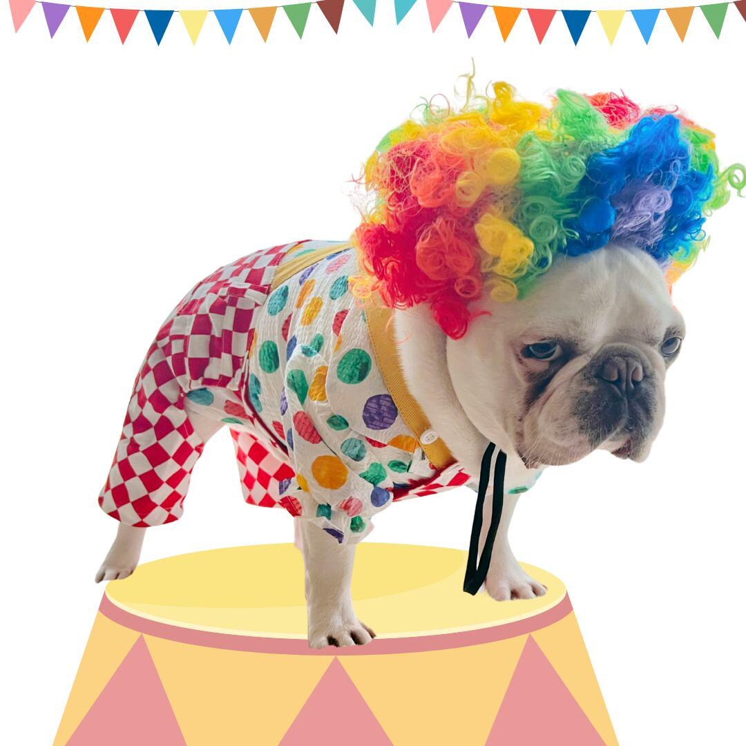 Halloween Carnival Clown Pup Pet Dog Cat Costume, Circus Theme Dress Up ...