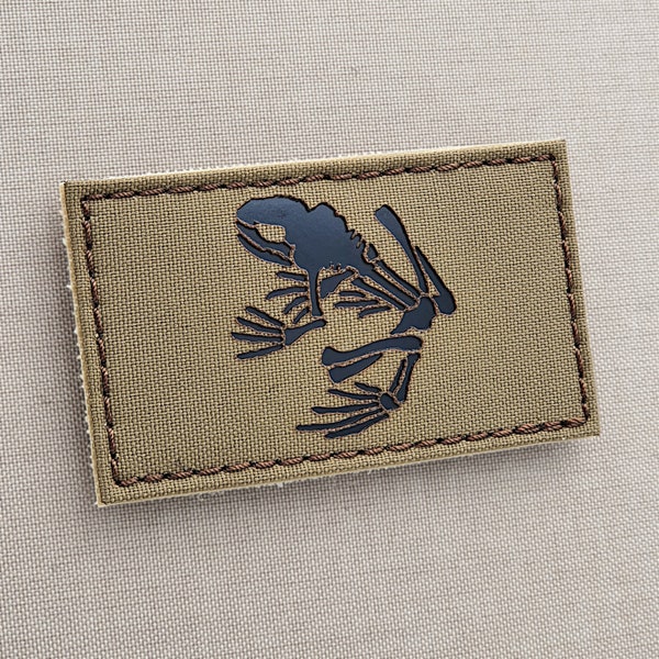 Navy Seal Frog - Etsy