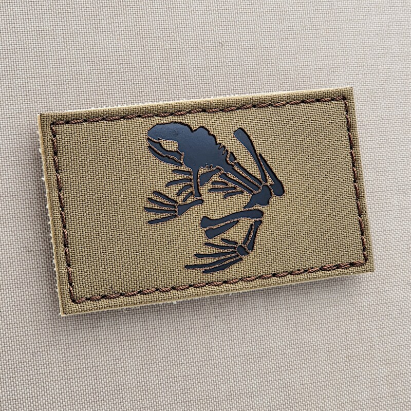 Frog Patch - Etsy