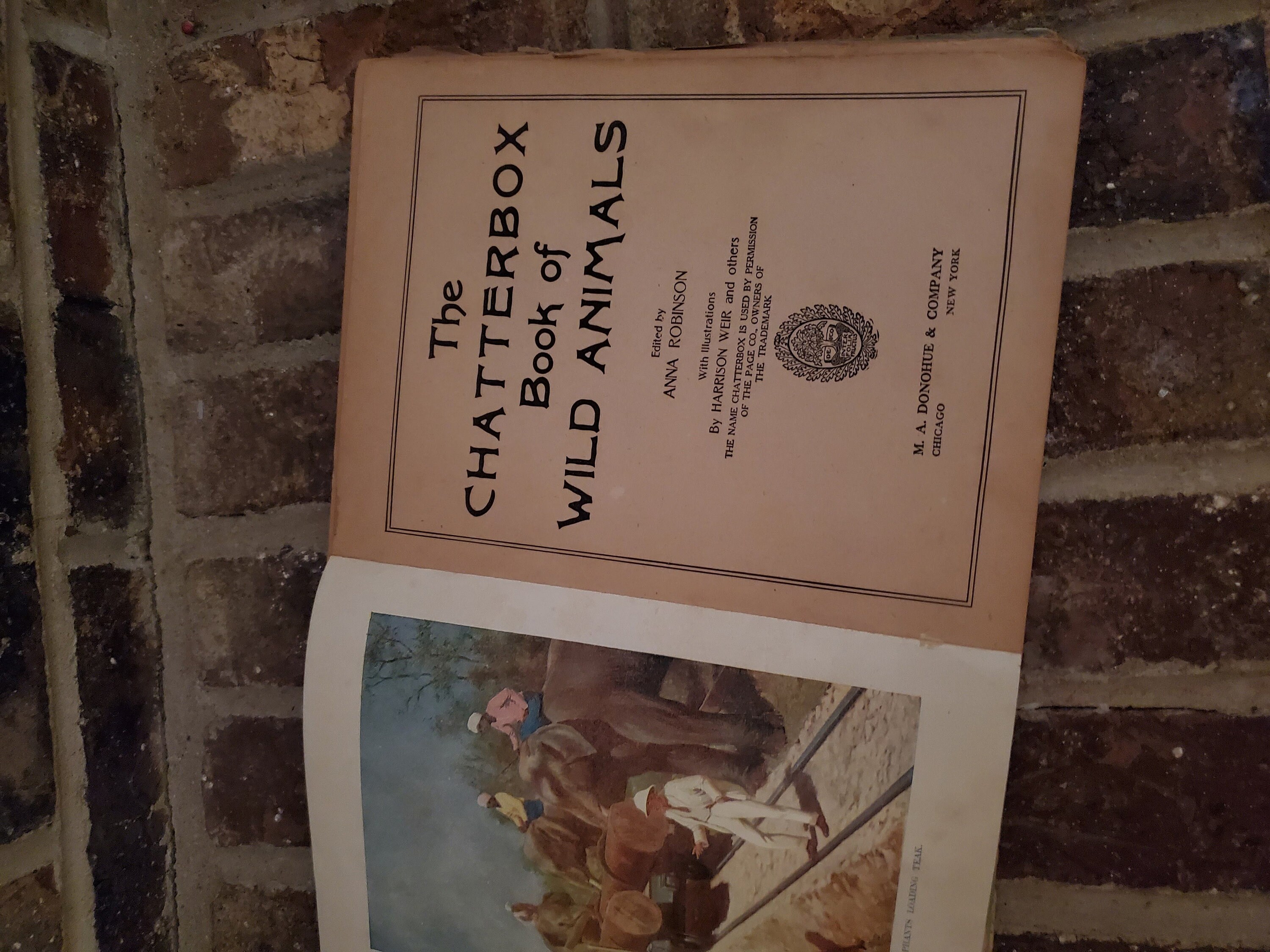 Chatterbox Book of Wild Animals - Etsy