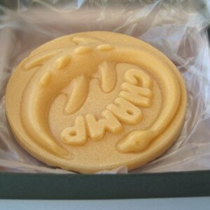 CHAMP the Monster of All Maple Candy... It Does Exist - Etsy