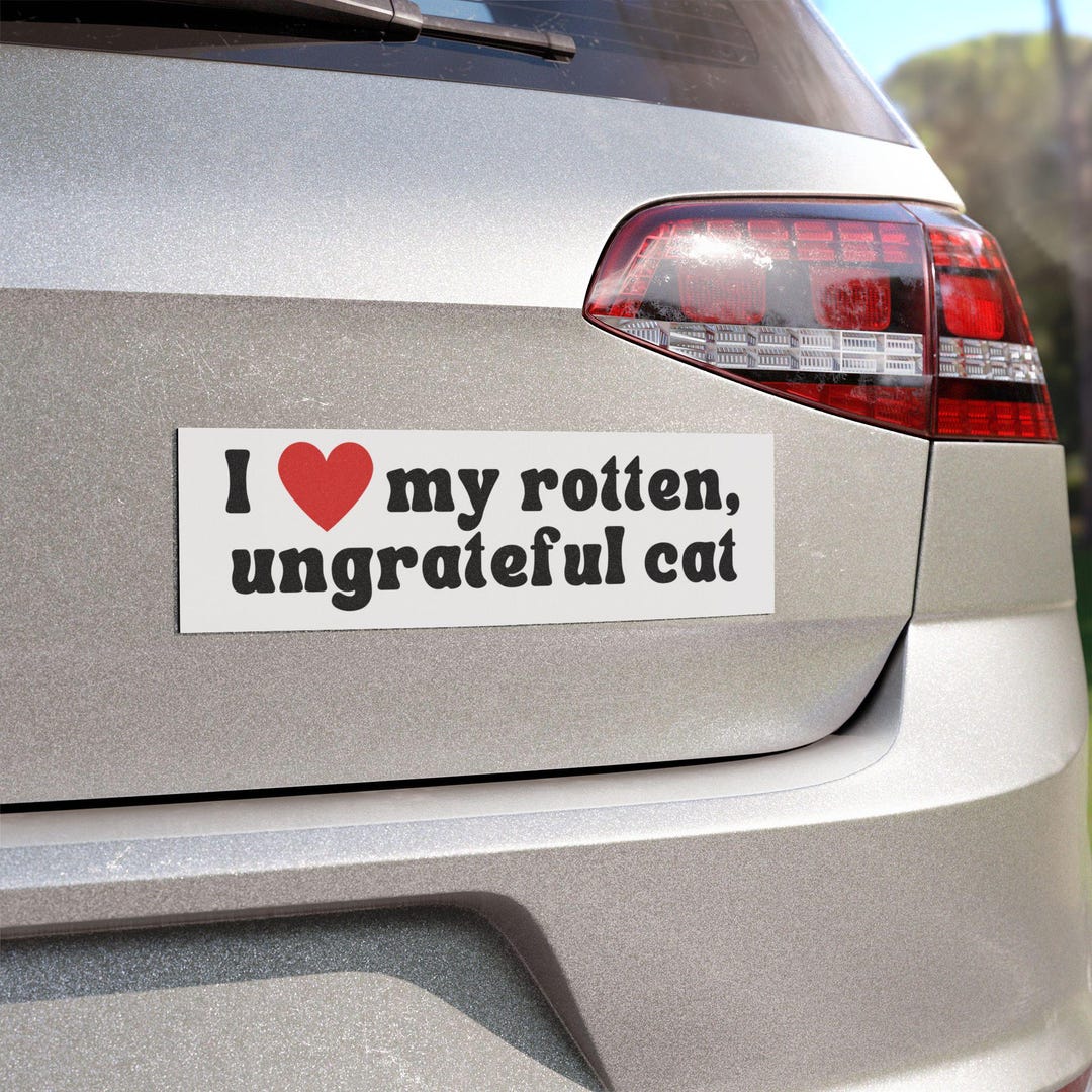 Funny Cat Car Magnet, Cute Cat Gift Idea, Hilarious Bumper Sticker ...