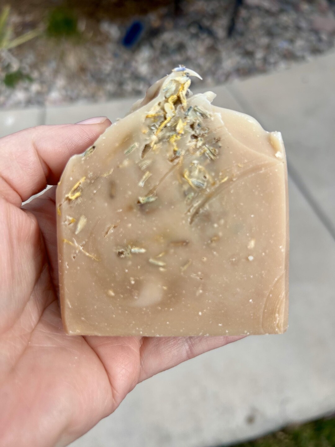 Best Smelling Goat - Etsy