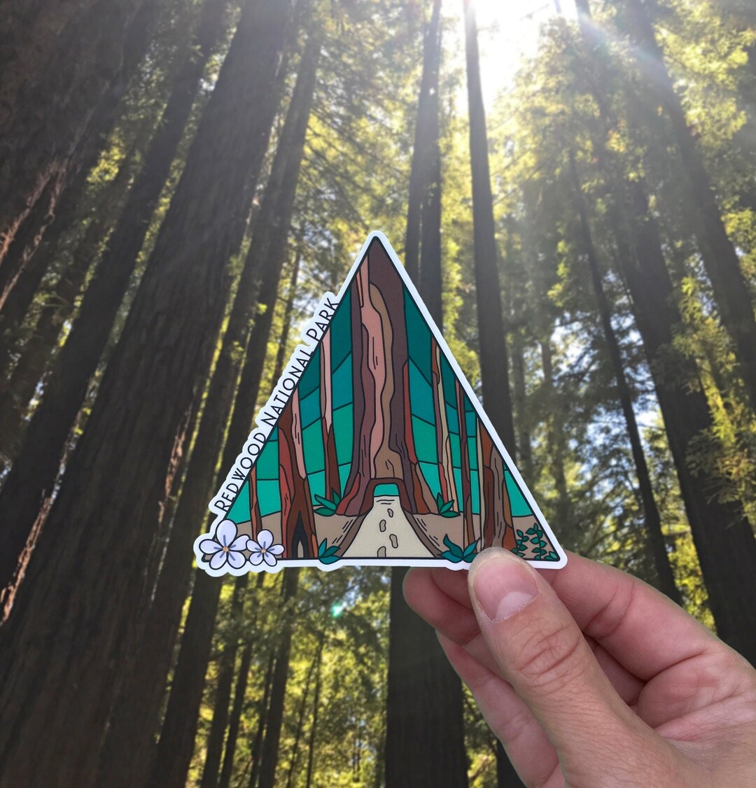 Redwood National Park Sticker, Hand Drawn Design, California Trees ...