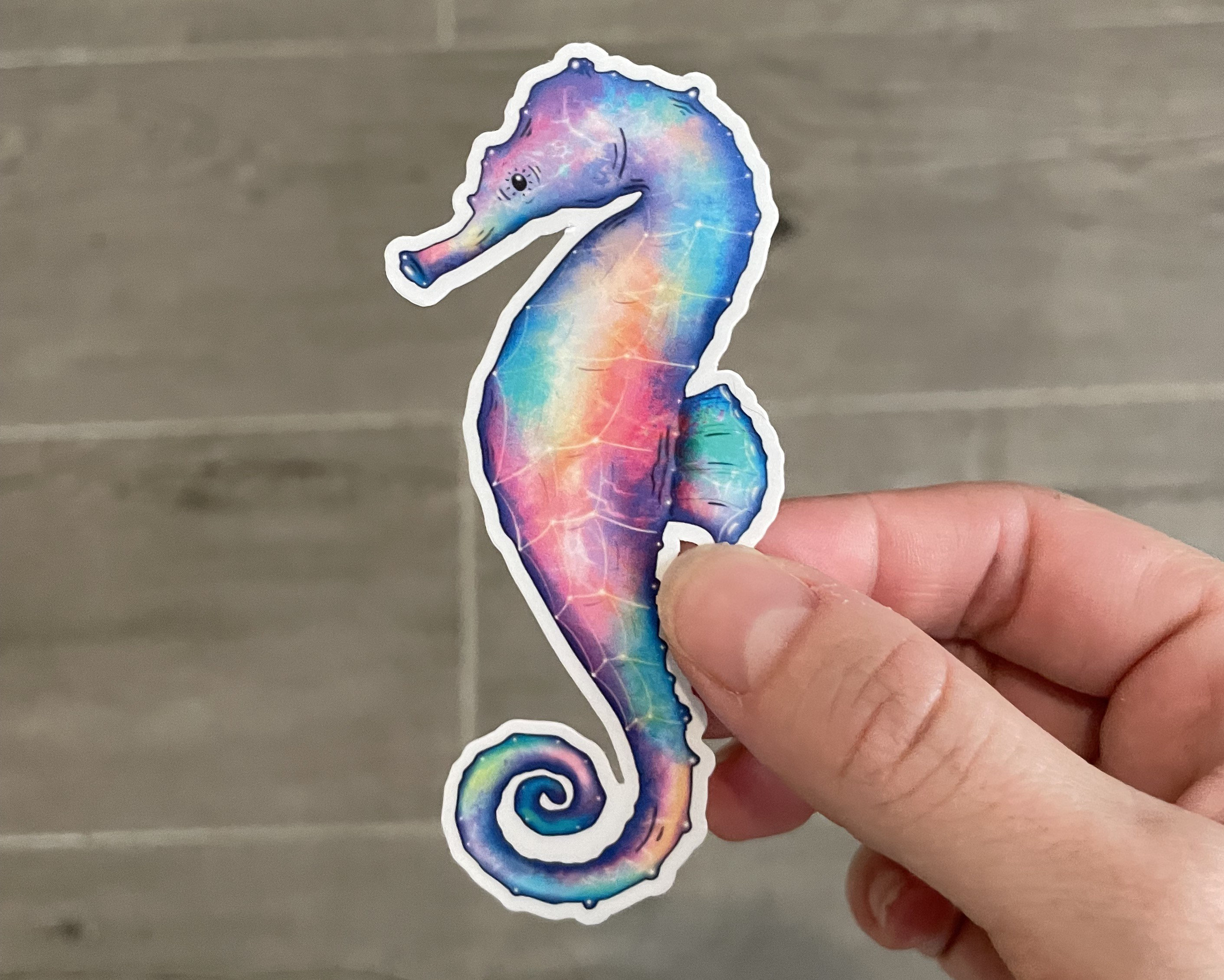 Rainbow Seahorses