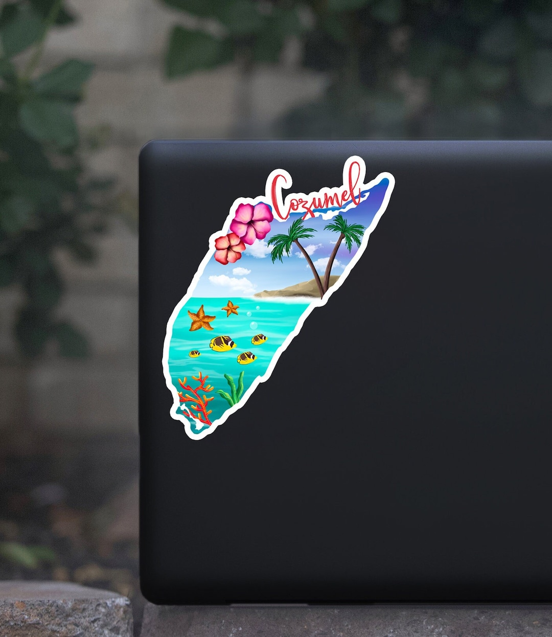 Cozumel Mexico Sticker, Hand Drawn Design, Palm Trees Beach, Laminated ...