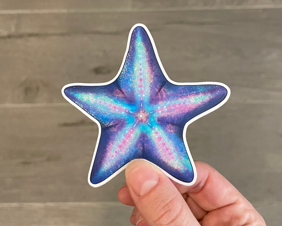 Colorful Starfish Rainbow Sticker, Laminated, Water Resistant, 3 Inches ...